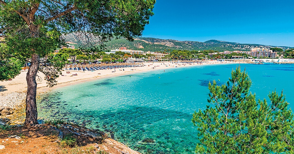 Fergus Club Palmanova Park (Léto 2023) • Mallorca • Španělsko • CK Blue ...